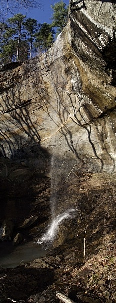 Kings Bluff Loop Trail Pics (Ozark Forest) | Arklahoma Hiker