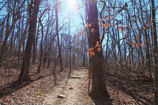 Mount Magazine: Signal Hill (Highpoint) Trail – 1 mi | Arklahoma Hiker