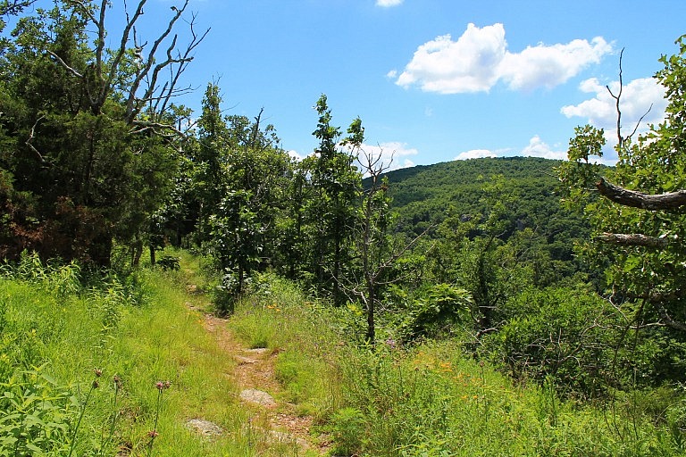 Mount Magazine: North Rim Trail - 5 mi (o&b) | Arklahoma Hiker