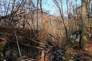 Cecil Cove Trail Loop (Buffalo River) - 6 mi | Arklahoma Hiker