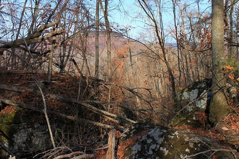 Cecil Cove Trail Loop (Buffalo River) - 6 mi | Arklahoma Hiker