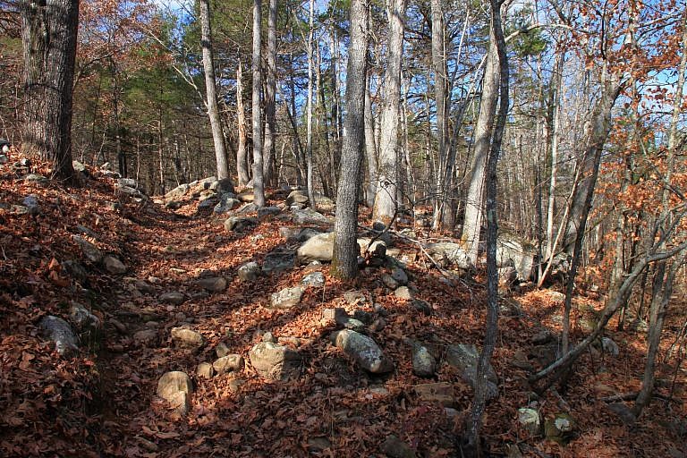 Cecil Cove Trail Loop (Buffalo River) - 6 mi | Arklahoma Hiker