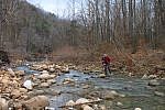 Cecil Cove Trail Loop (Buffalo River) - 6 mi | Arklahoma Hiker