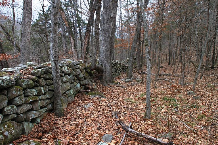 Cecil Cove Trail Loop (Buffalo River) - 6 mi | Arklahoma Hiker