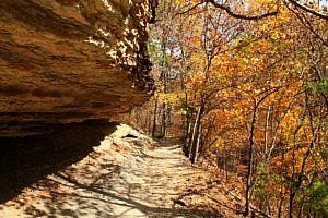 Devil's Den: Yellow Rock Trail Autumn Pics | Arklahoma Hiker