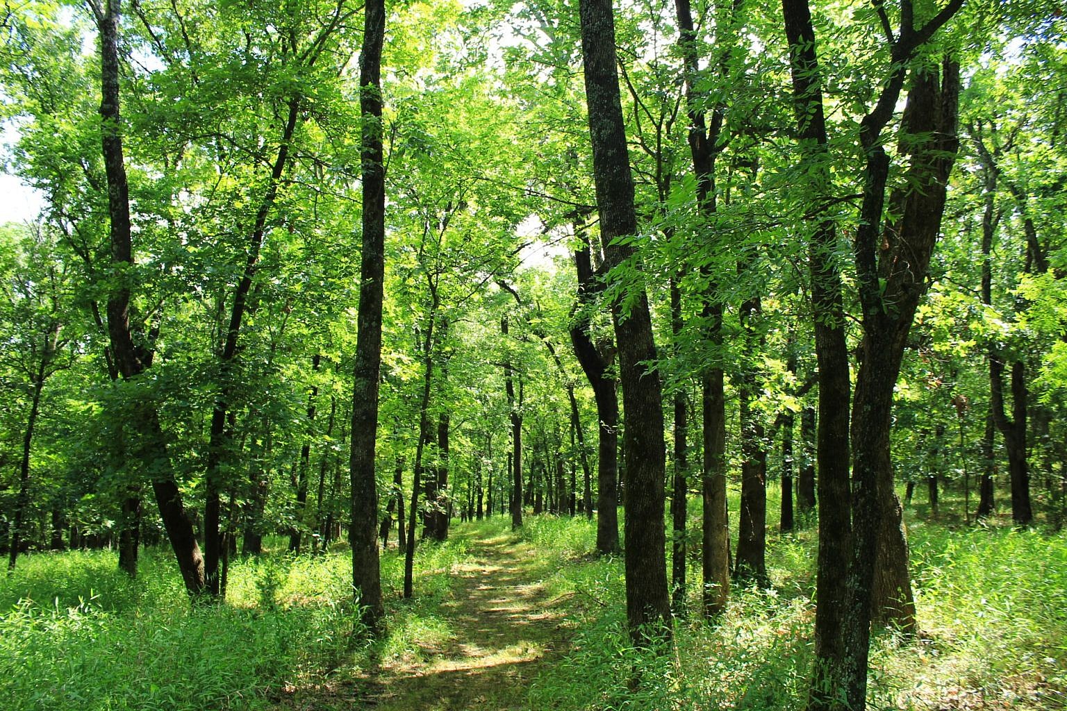 Sequoyah State Park: Deer Run Trail – 2 mi | Arklahoma Hiker