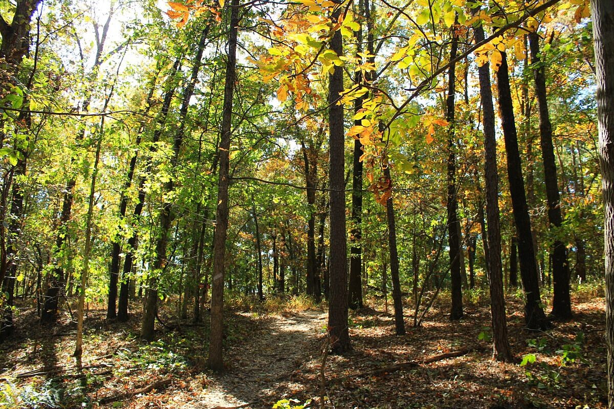 Hobbs: Hidden Diversity - Bashore Ridge Loop - 4 mi | Arklahoma Hiker